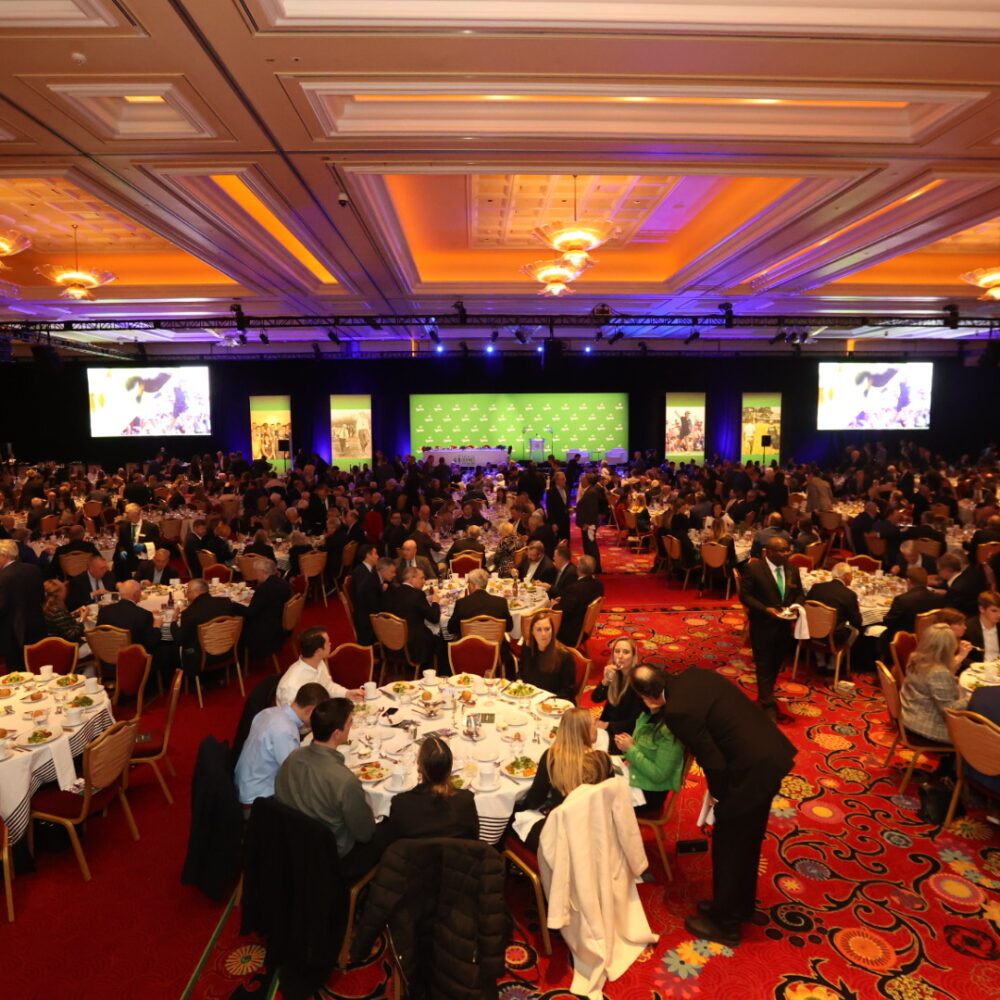 Ouimet Fund Honors Juli Inkster at 75th Anniversary Banquet - Francis ...